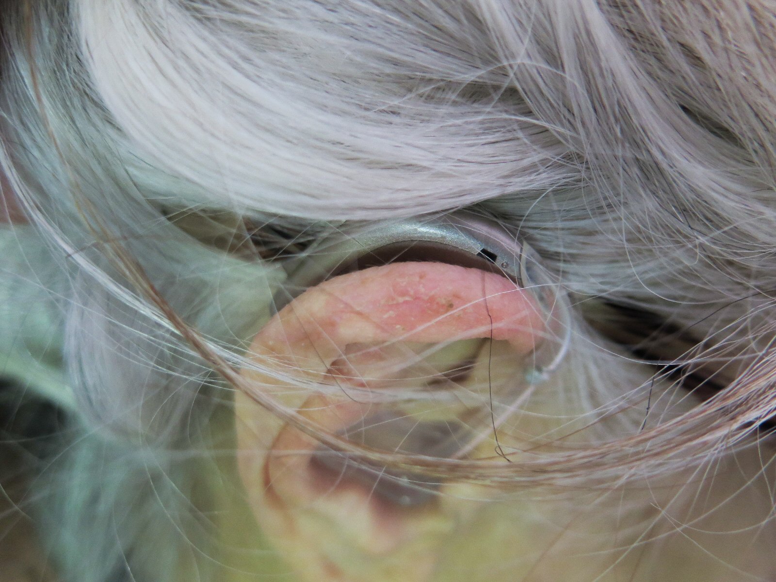 Moins de la moitié des personnes déficientes auditives parlent ...