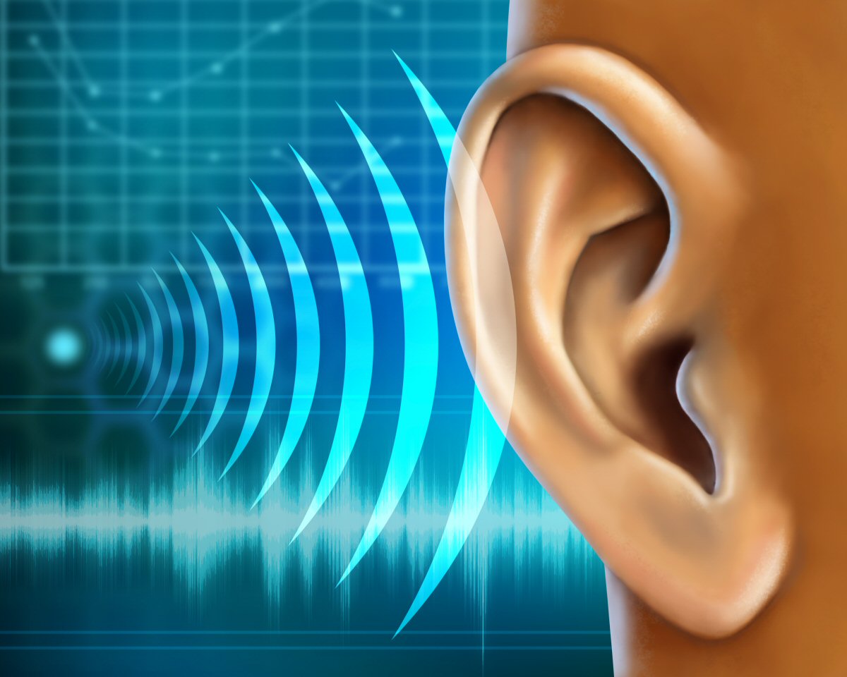 L'oreille (humaine) merveilleuse - Audition Québec