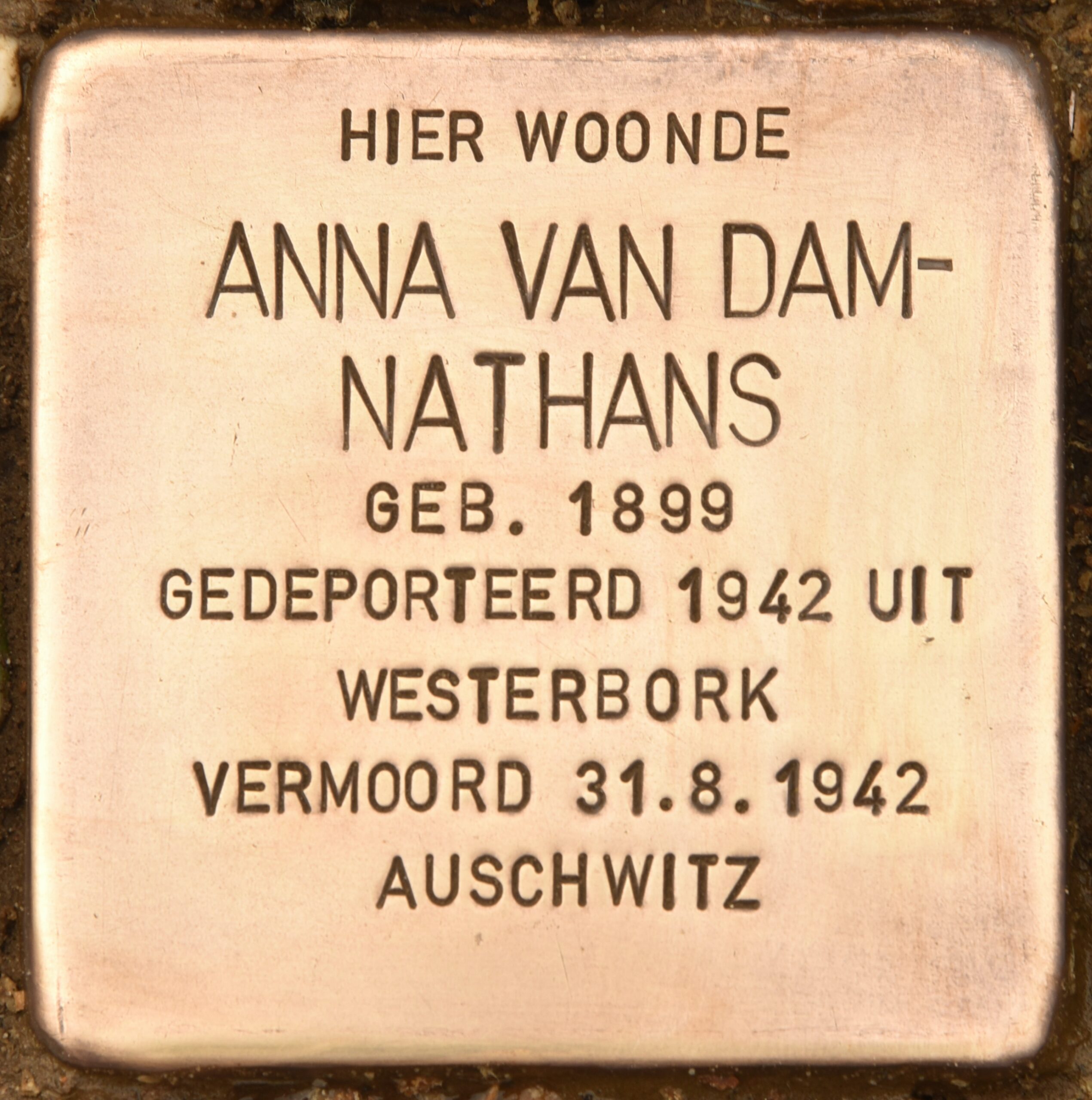 Biographie : Anna van Dam - Audition Québec