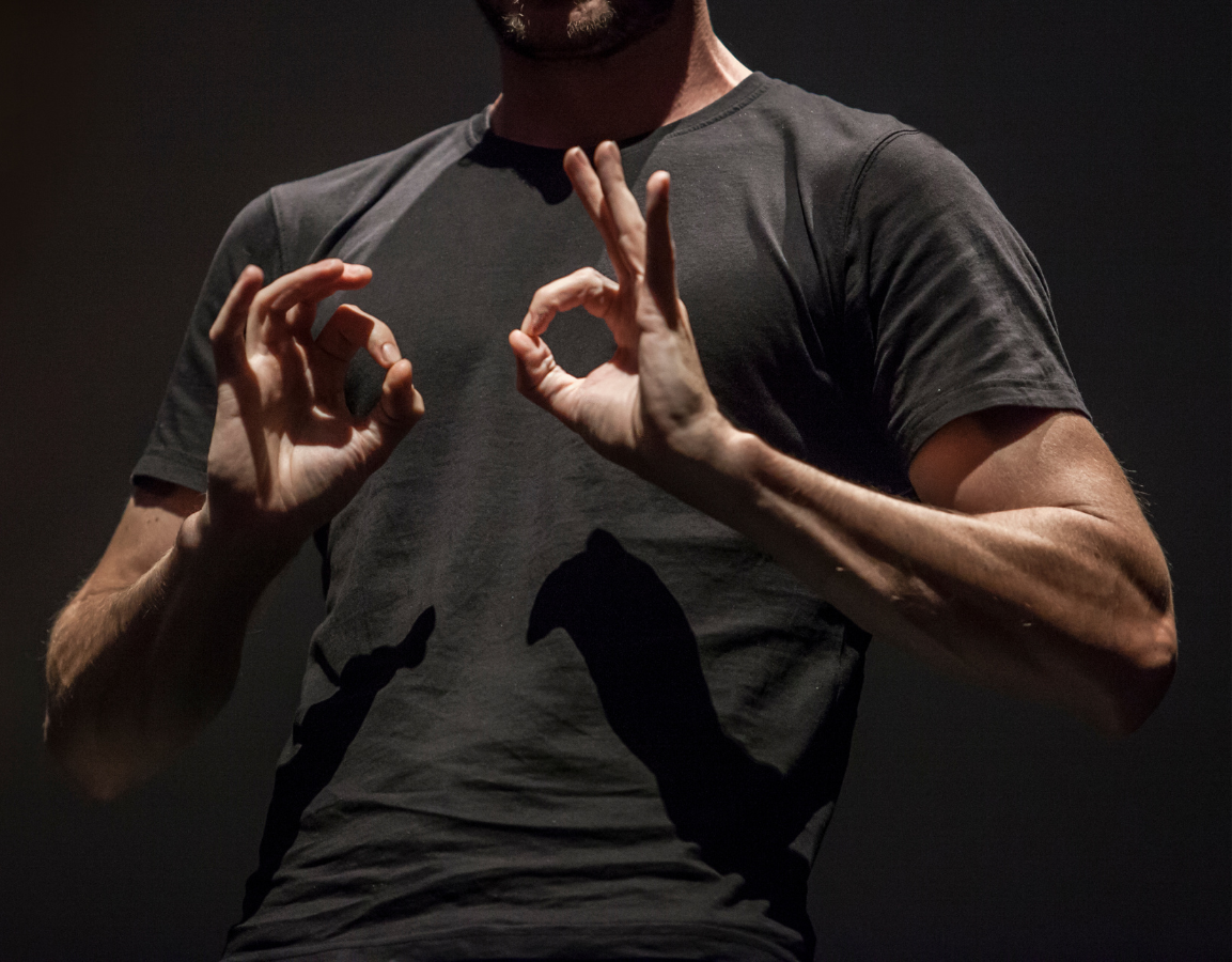 Langue des signes québécoises (LSQ) - Audition Québec